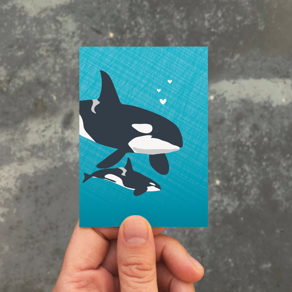 ORCA MOM ENCLOSURE – Modern Printed Matter