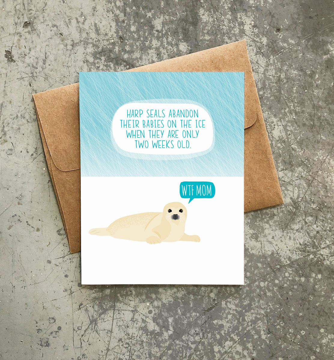 HARP SEAL FACT CARD – Modern Printed Matter